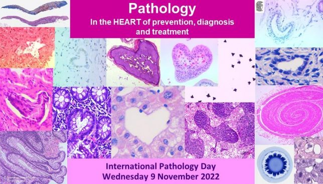 Happy International Pathology Day 2022! – Българска асоциация по патология
